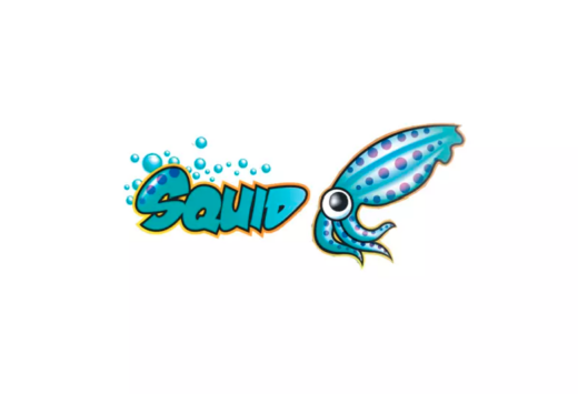 Squid Caching Proxy Alert: Critical ICP Protocol Flaws Threaten Web ...